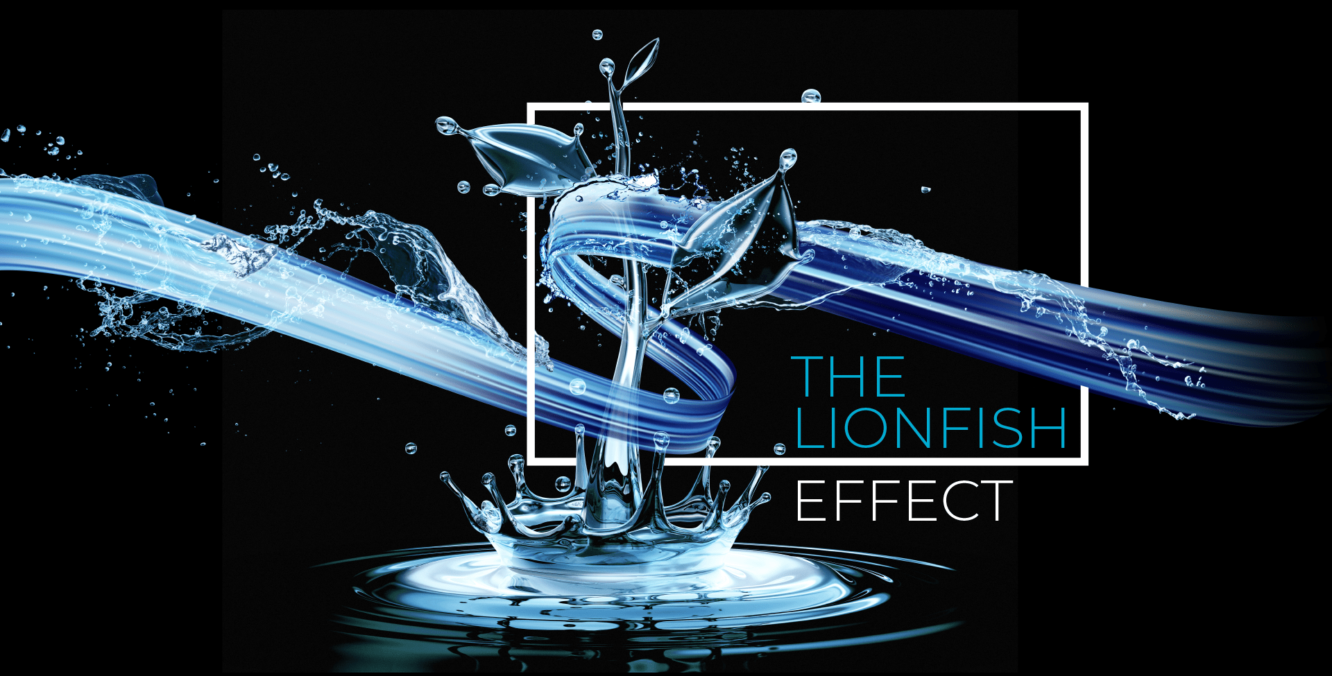 Lionfish – Marketing for game-changers